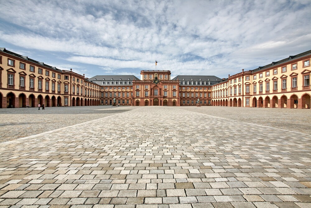 News | University of Mannheim