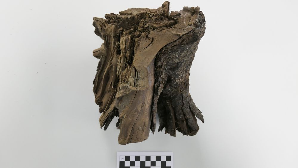 1000 Jahre Wikinger in Amerika | Universität Mannheim