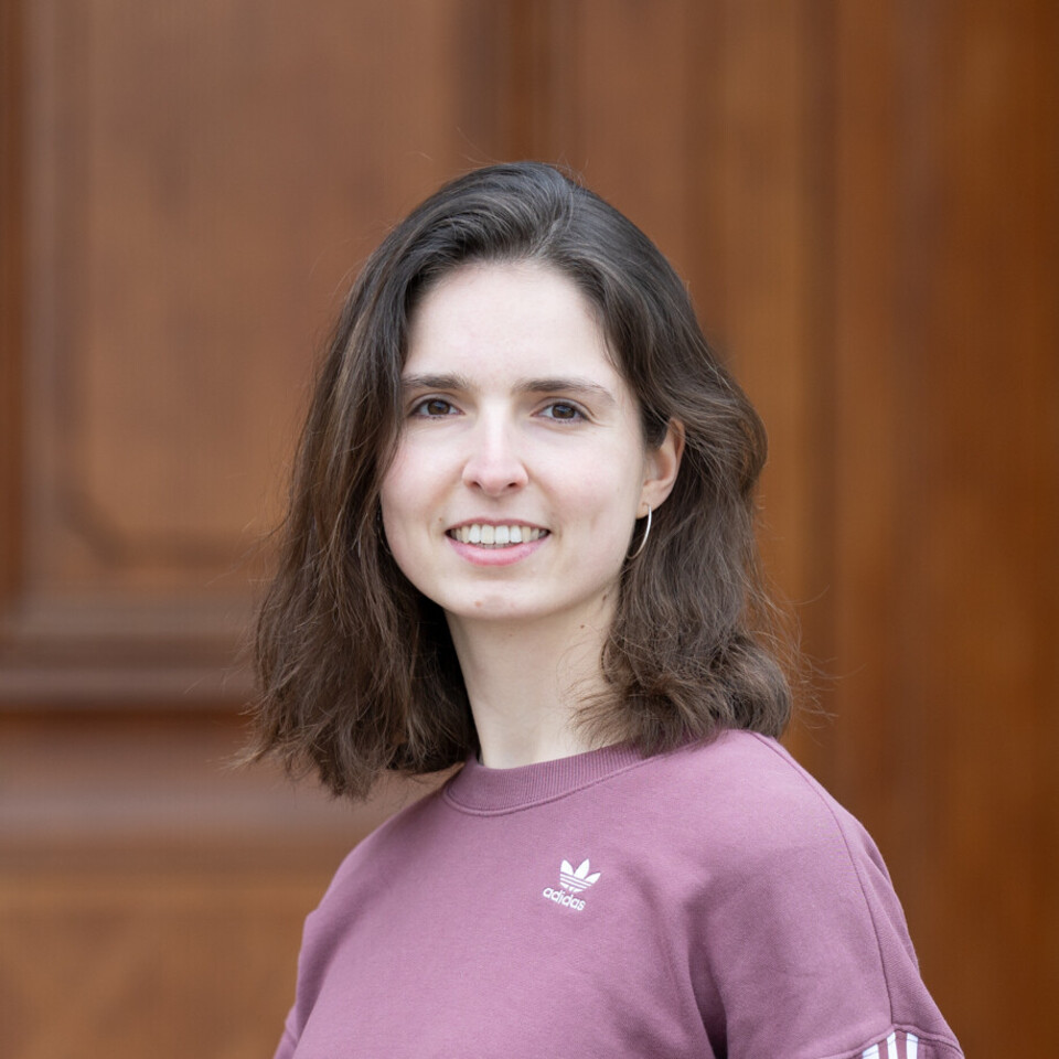 Advice on Choosing a Program | University of Mannheim