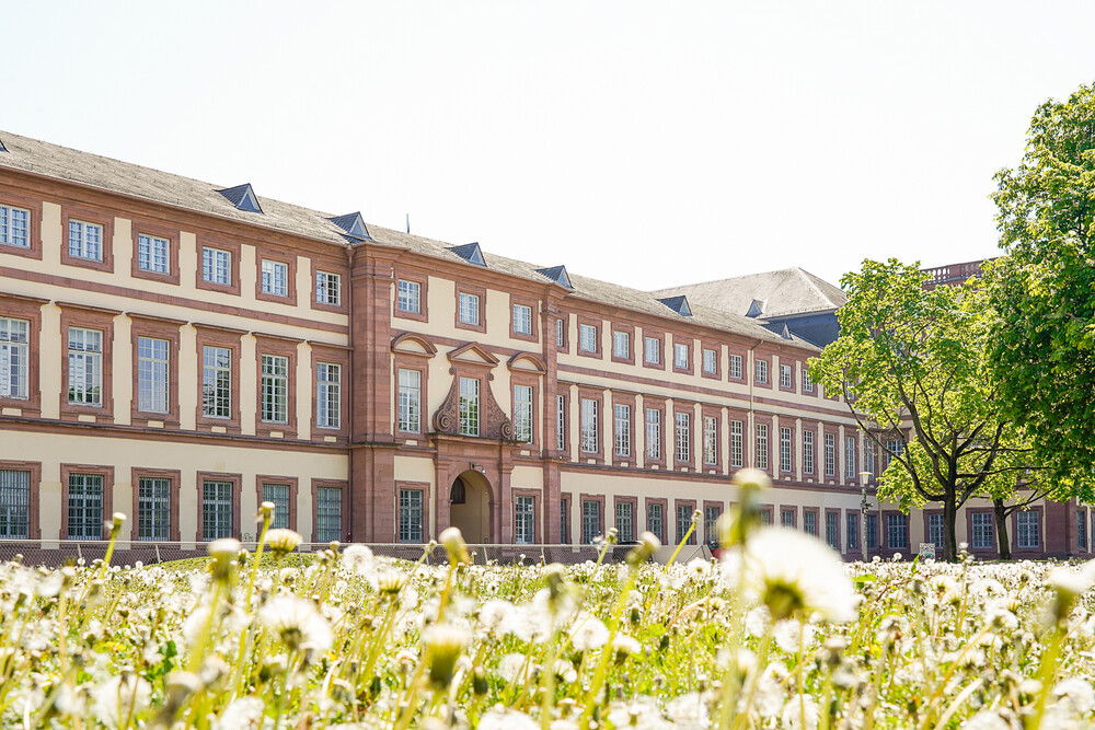 Karte "Nachhaltigkeit auf dem Campus" | Universität Mannheim
